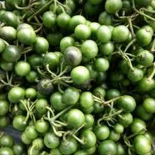 Jual Buah leunca segar 1kg, lalapan leunca / sayuran leunca | Shopee ...