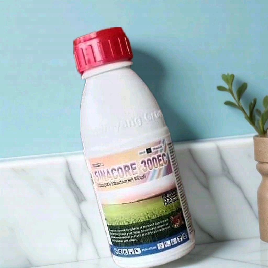 Jual Fungisida SINACORE 300EC.Bahan aktif Difenokonazol 300g/l.kemasan ...