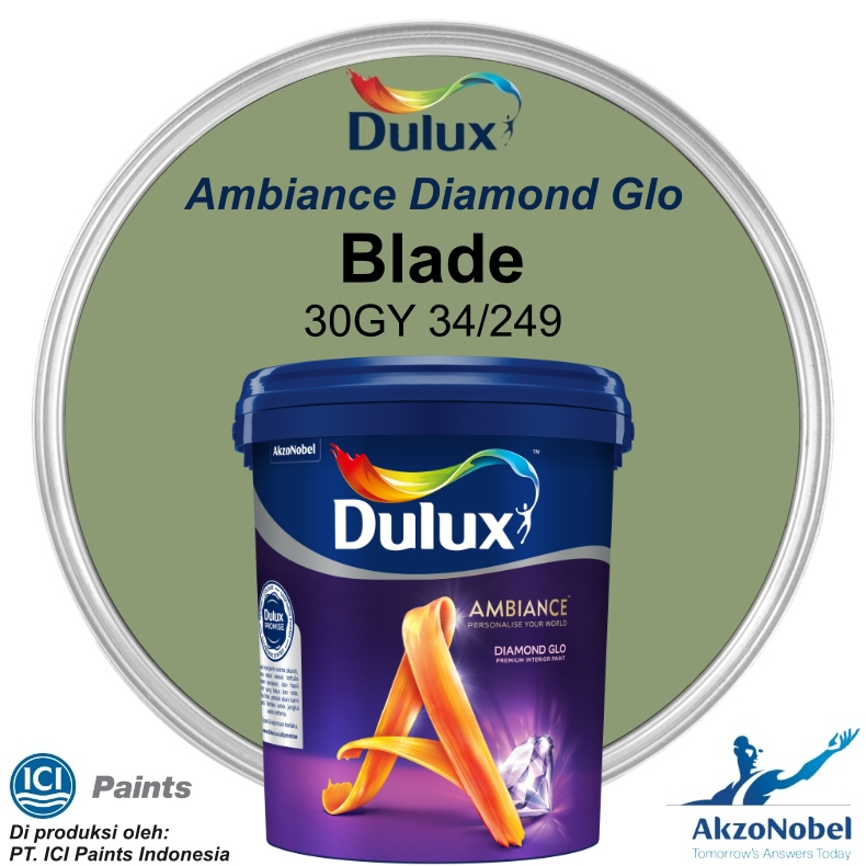 Jual CAT DULUX AMBIANCE DIAMOND GLO 20 LT - BLADE 30GY 34/249 | Shopee ...