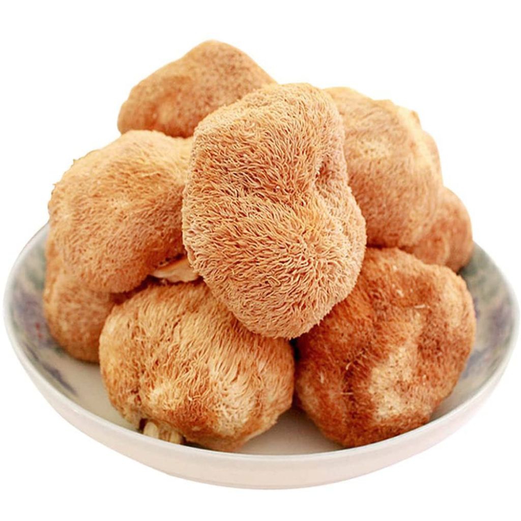 Jual Hou Tou Gu/Jamur Surai Singa/Hericium erinaceus | Shopee Indonesia