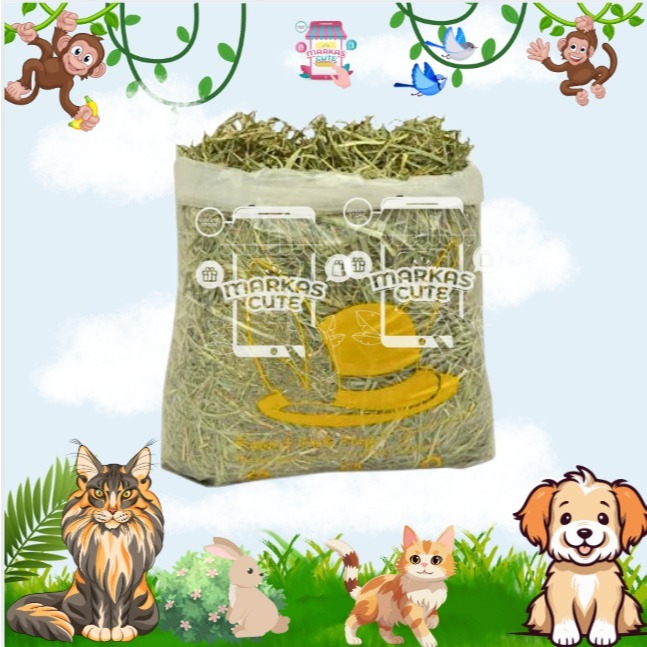 Jual [ALFALFA 1KG ] RABBIT HOLE HAY ALFALFA 1KG RABBIT FOOD REPACK HIGH ...