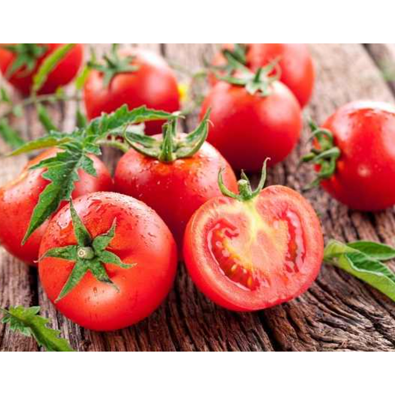 Jual Tomat Merah Segar Fresh Sayur Buah Masak Harian Murah 500g ...