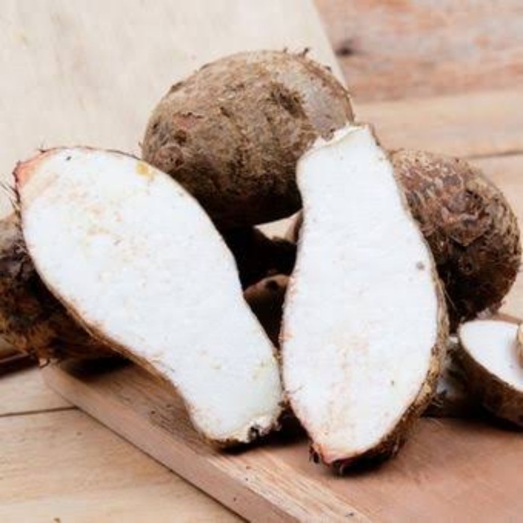 Jual Umbi Talas Gajah/Talas Kimpul Pulen 1kg | Shopee Indonesia