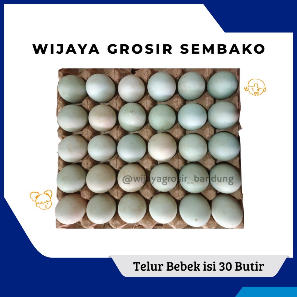 Jual Telur Bebek Mentah Organik per tray isi 30 Butir | Shopee Indonesia