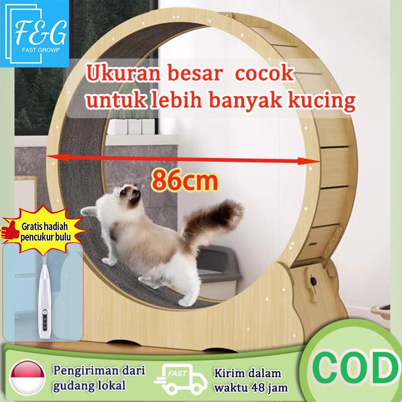 Jual [Pengiriman cepat] F&G Roda lari memanjat kucing kayu Treadmill ...