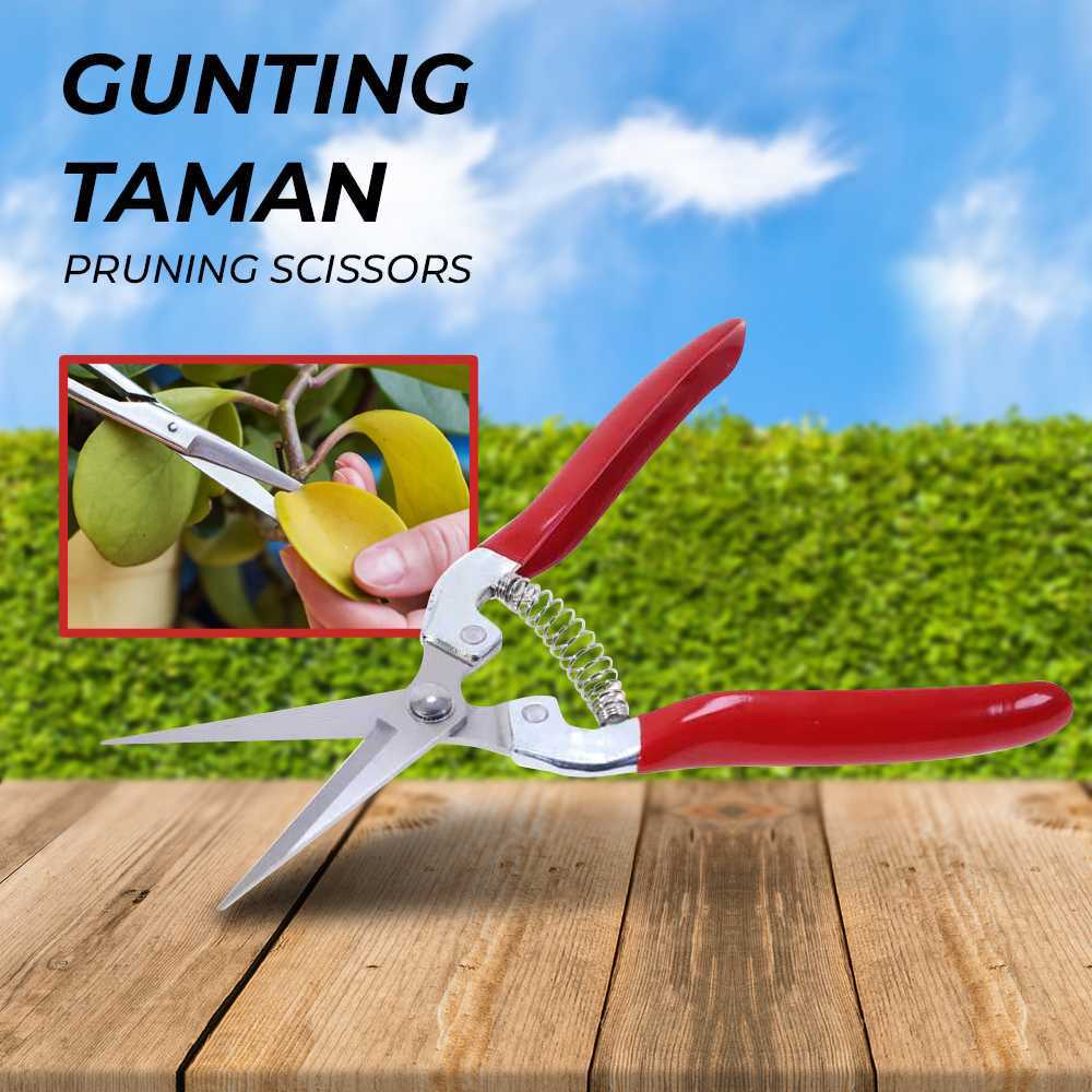 Jual QIAOEN Gunting Tanaman Ranting Bunga Stainless Steel Pruning ...