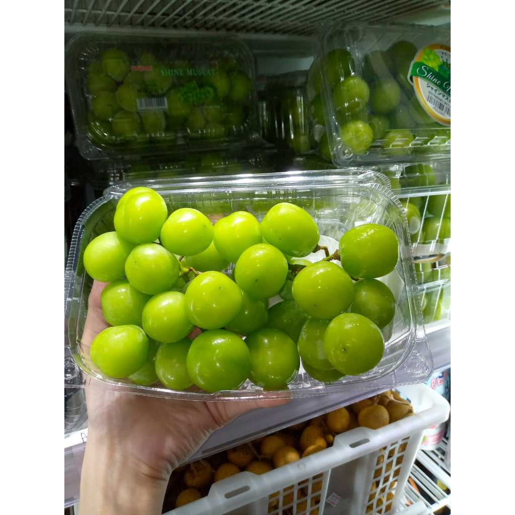 Jual Anggur Shine Muscat Pack | Shopee Indonesia