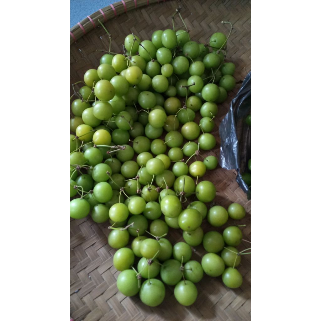 Jual buah canar.angur hutan bogor bahan manisan./1kg | Shopee Indonesia