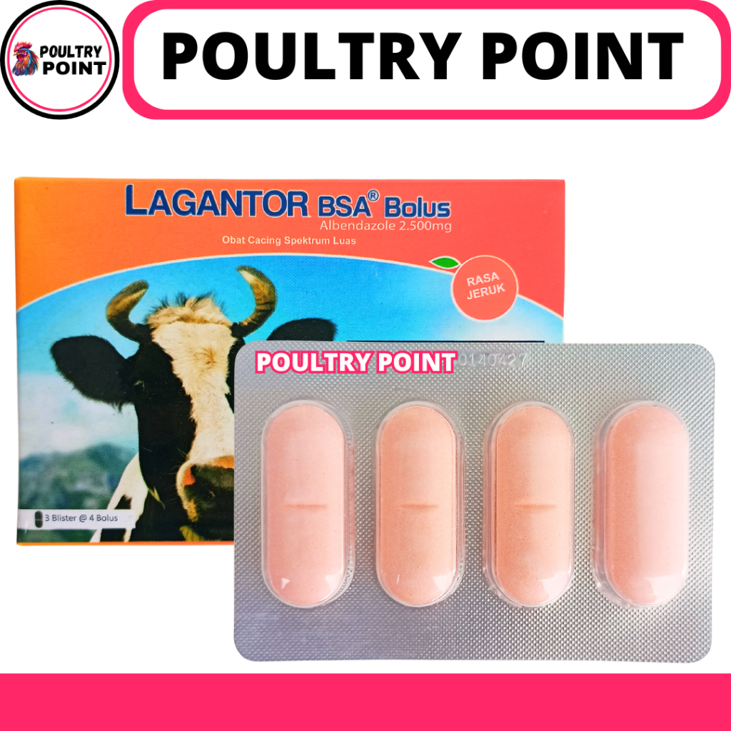 Jual LAGANTOR BSA BOLUS 1 STRIP (4 BOLUS) - Obat Cacing Sapi Paling ...