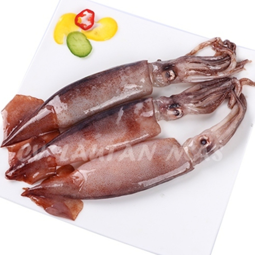 Jual Cumi 1Kg // Cumi Segar // Cumi Basah // Cumi Jumbo Segar // Cumi ...