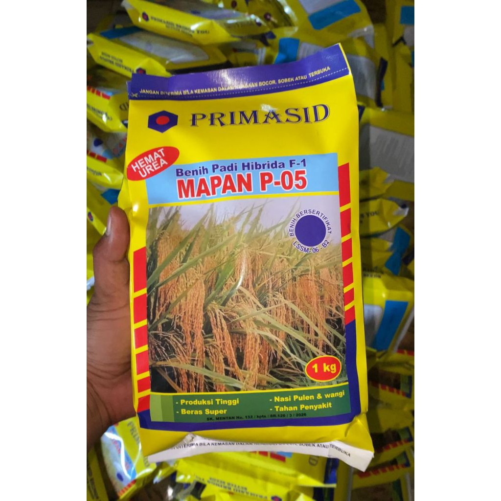 Jual Benih Padi Bibit Mapan p05 Primasid Mapan 05 Hibrida 1kg | Shopee ...