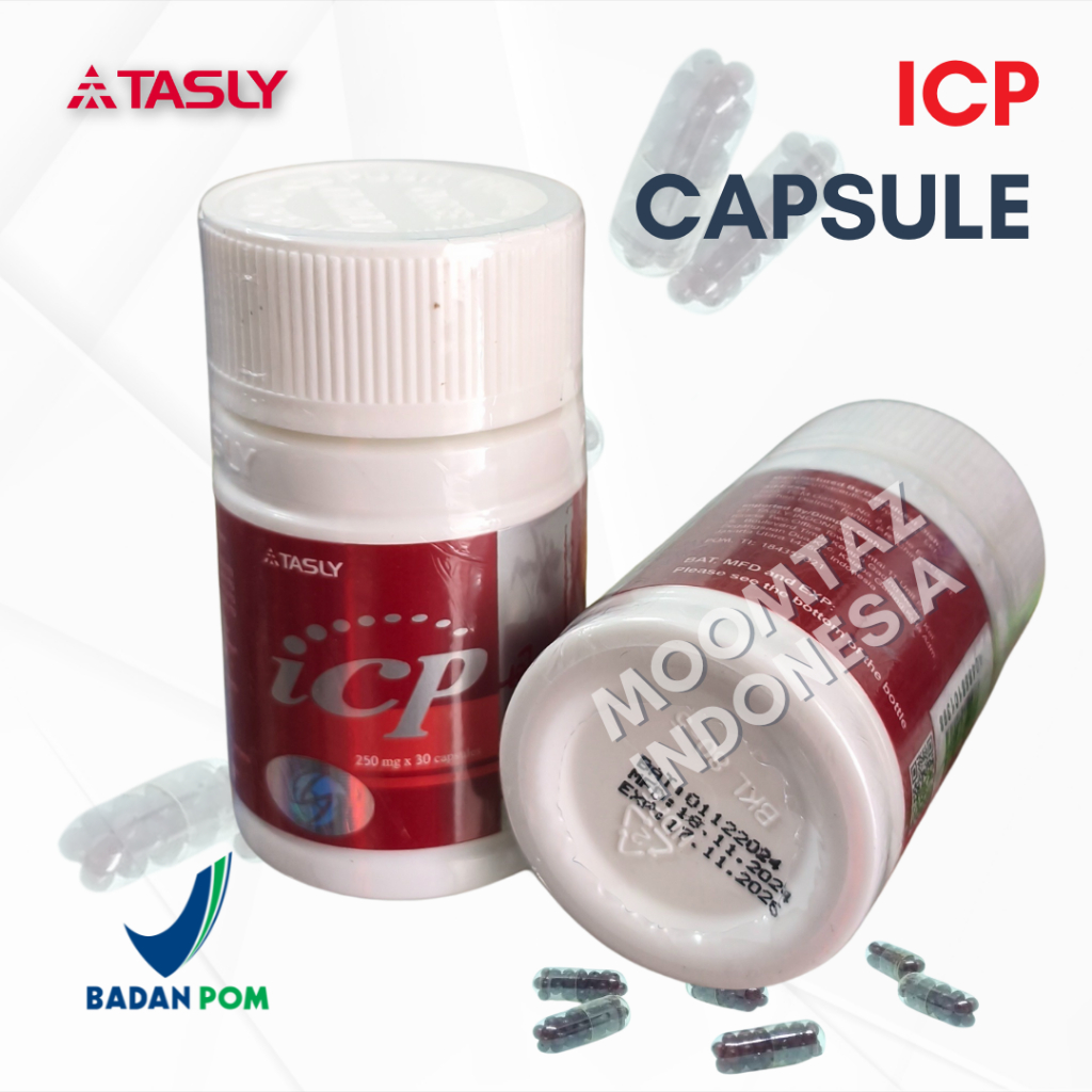 Jual ICP CAPSULE TASLY - OBAT HERBAL JANTUNG STROKE HIPERTENSI 100% ...