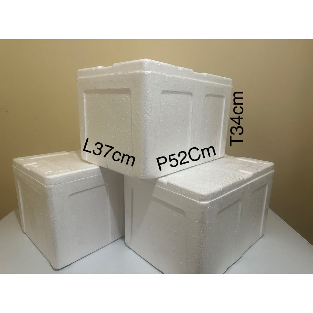 Jual Box Styrofoam Bekas Ukuran Large 18-20kg | Shopee Indonesia