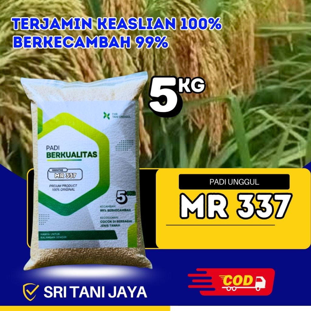 Jual BENIH PADI MR 337 ORIGINAL ASLI 5KG | Shopee Indonesia