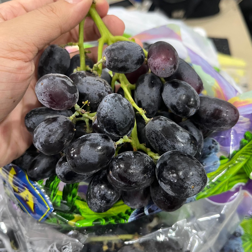 Jual ANGGUR HITAM USA AUTUMN | Buah Grapes Manis Garing Nonbiji ...