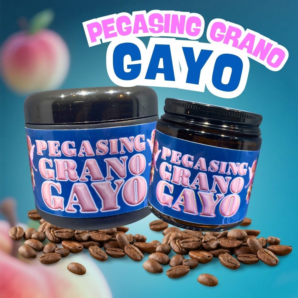 Jual Roast Bean Single Origin Arabica PEGASING GRANO GAYO Filter Coffee ...