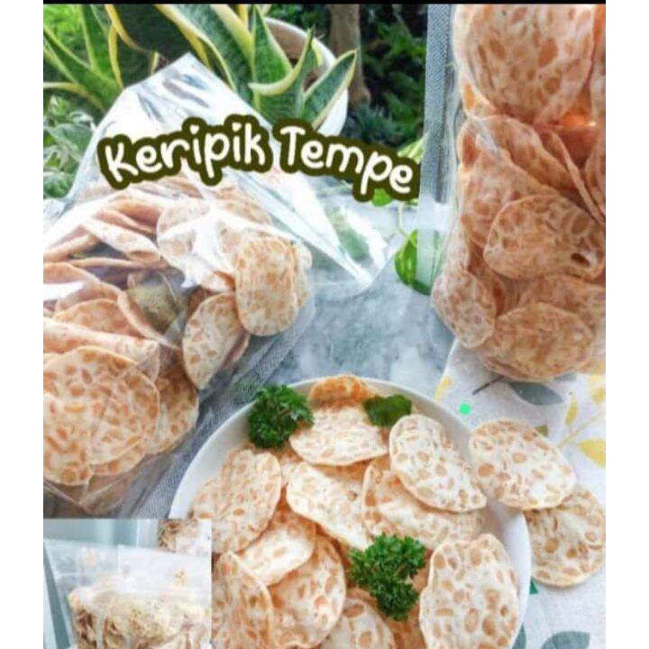 Jual KERIPIK KRIPIK TEMPE SAGU Spesial - 250 gr | Shopee Indonesia