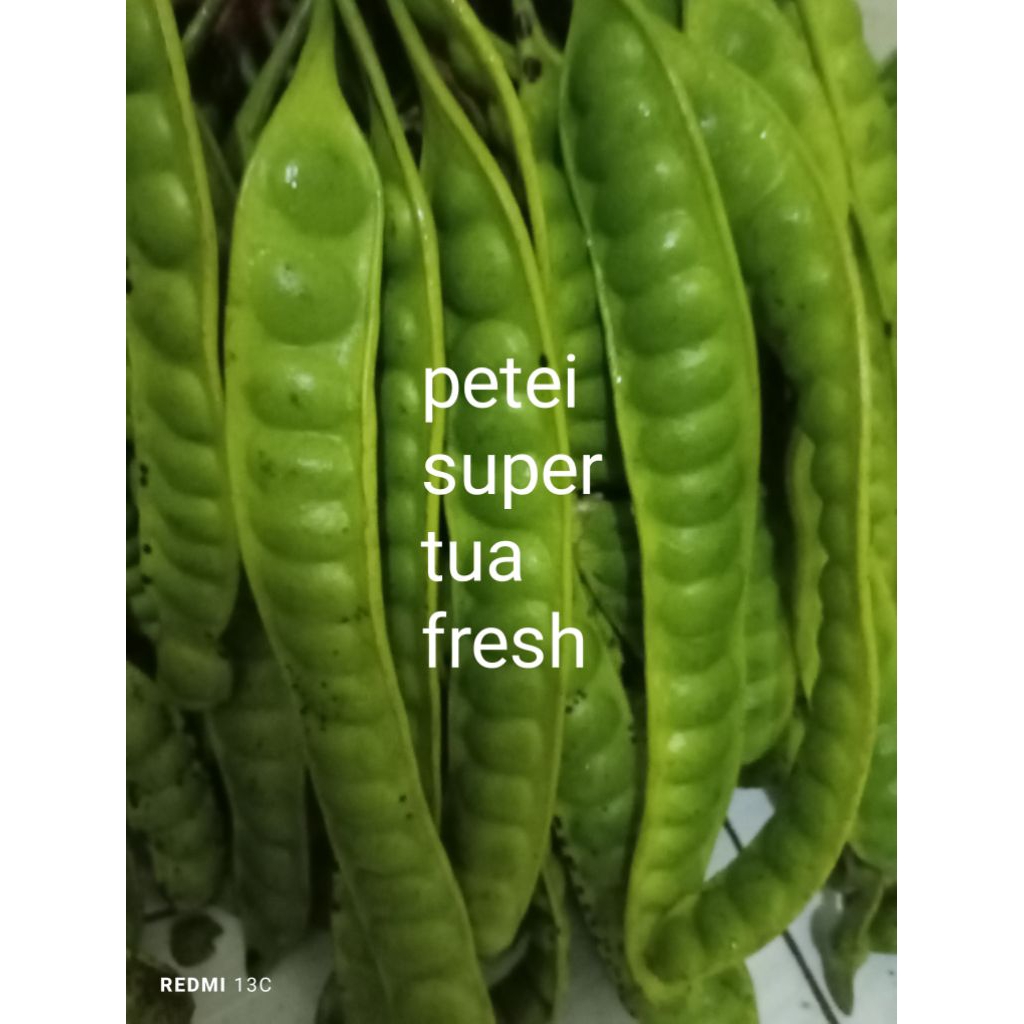 Jual pete padi tua super per 10 lonjor atau papan | Shopee Indonesia