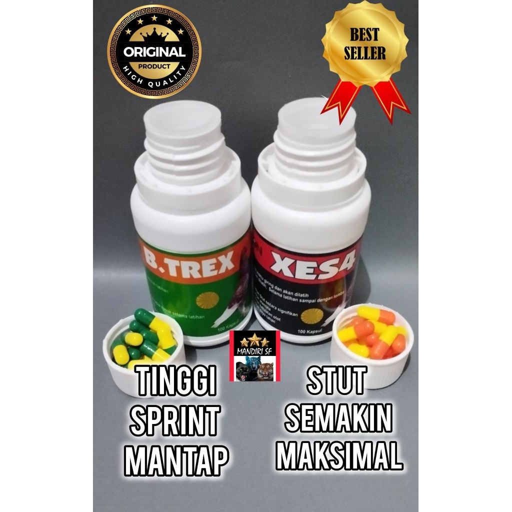 Jual bTREX XES4 baron harga per butir suplemen merpati original kemasan ...