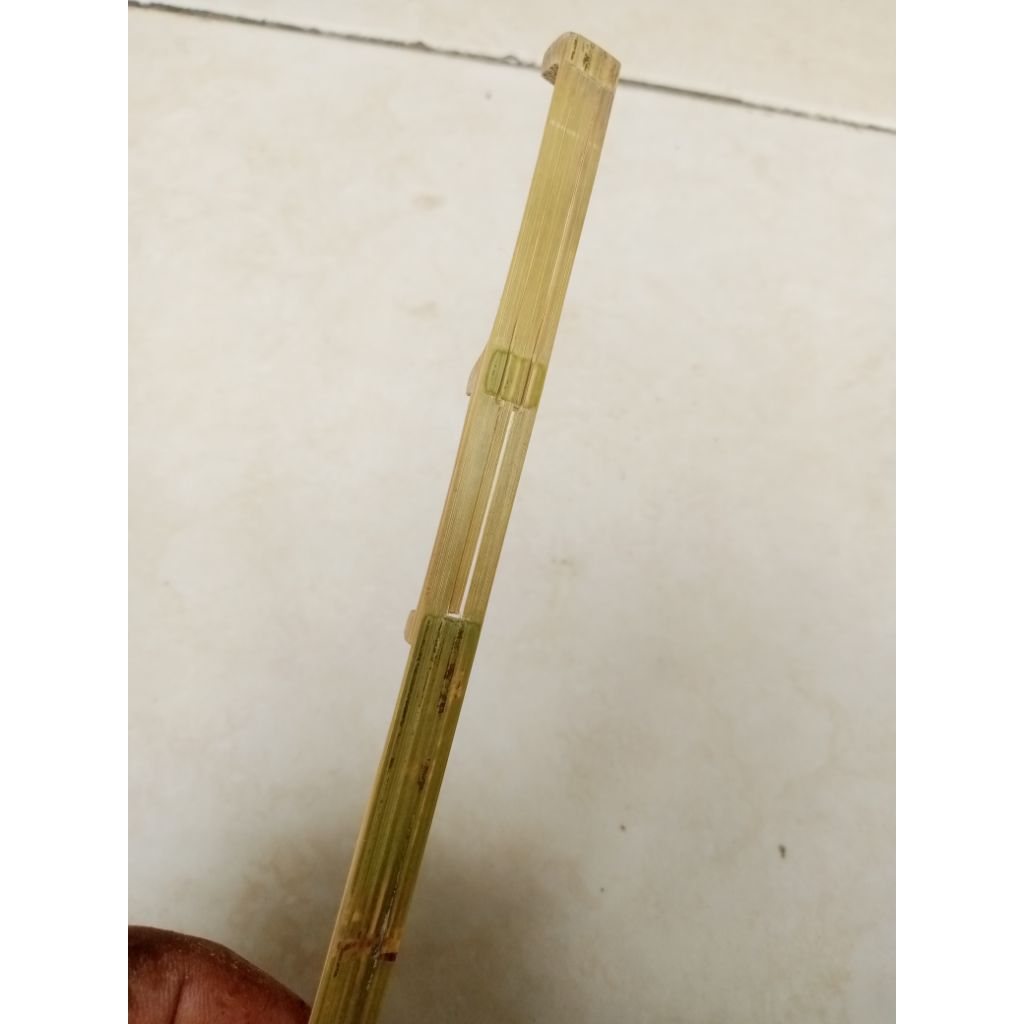 Jual karinding alat musik tradisional dari bambu unik jadul natural ...