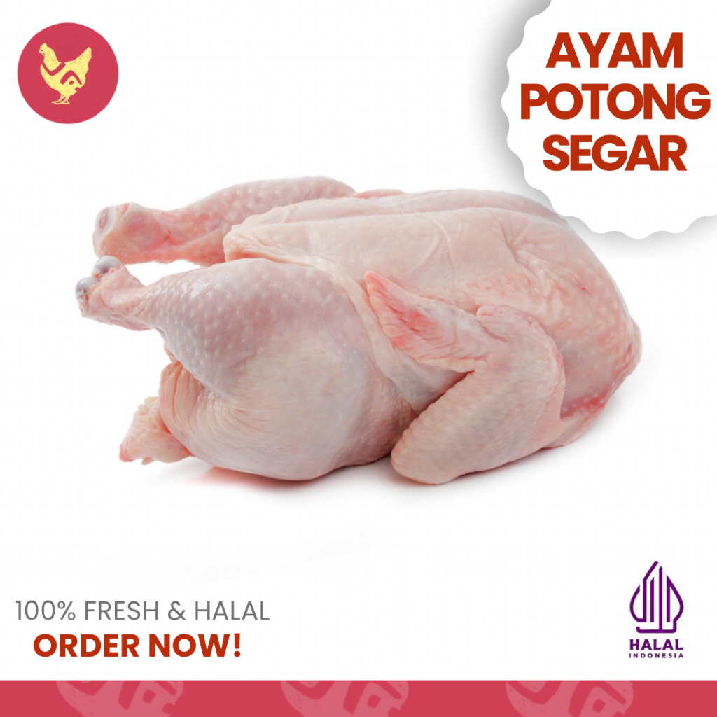 Jual Ayam Segar Halal 1 kg / Potong Setelah Diorder | Shopee Indonesia