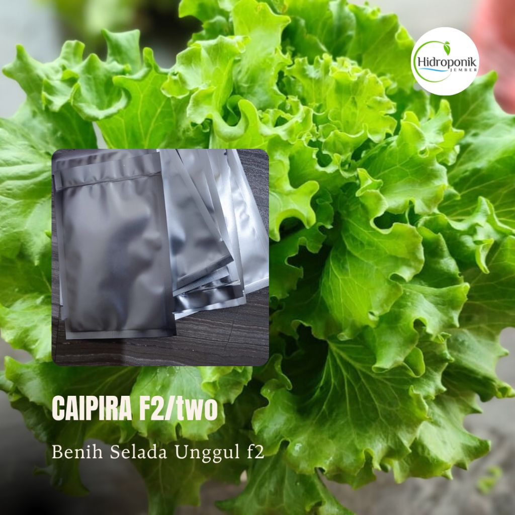 Jual BENIH SELADA CAIPIRA F2/two | KEMASAN 1 GRAM | Shopee Indonesia