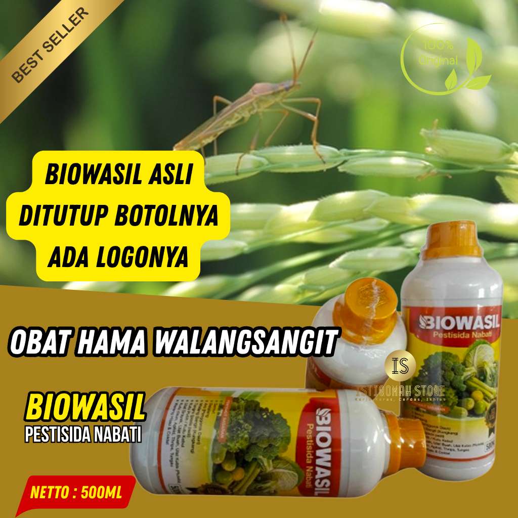 Jual Obat Semprot Hama Walang sangit Terbaik Paling Manjur BIOWASIL ...