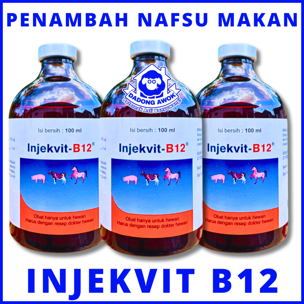 Jual INJEKVIT B12 100 ml MEDION Obat B12 Untuk Perbaiki Kondisi Tubuh ...