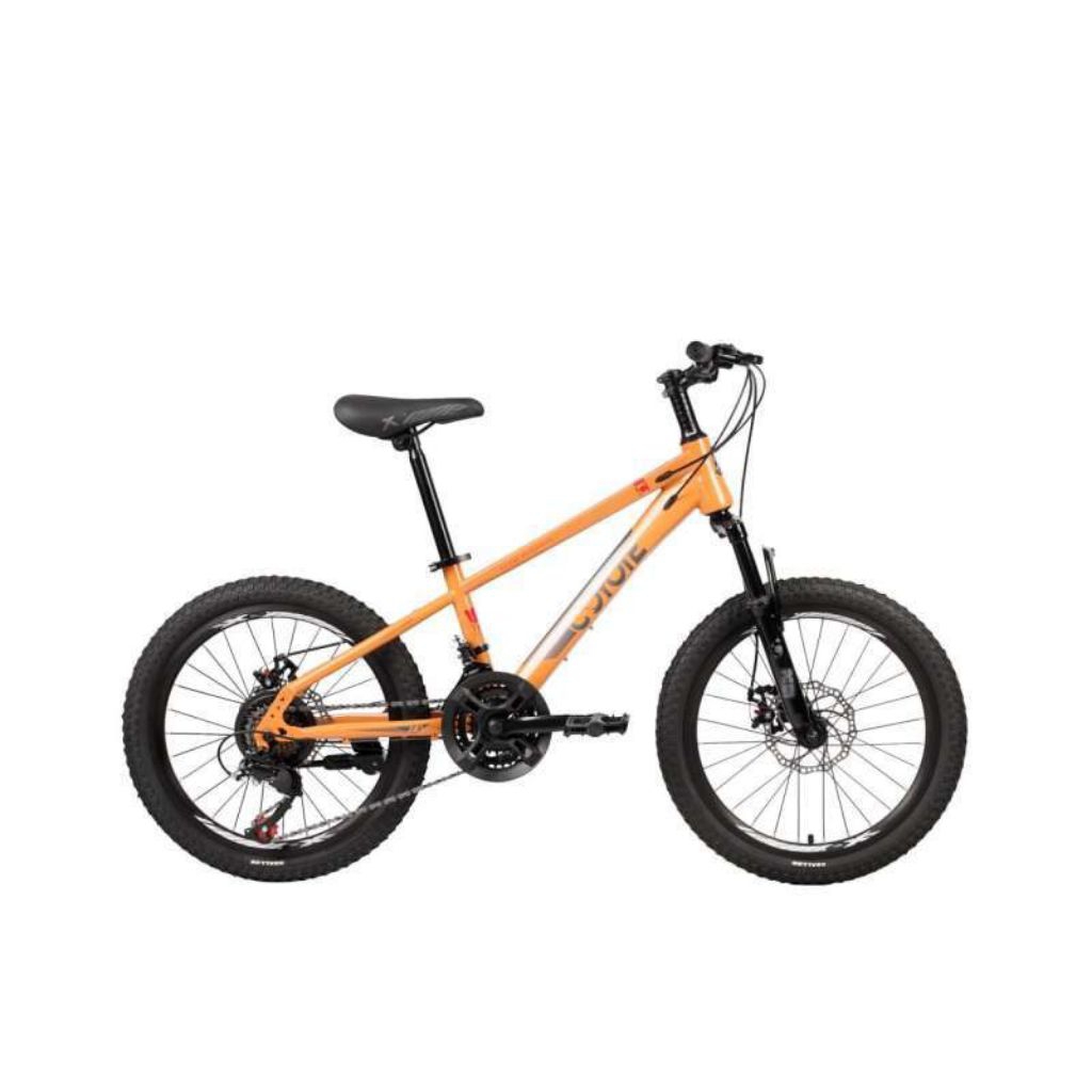 Jual Sepeda Gunung Anak MTB Element Coyote 20 Inch | Shopee Indonesia