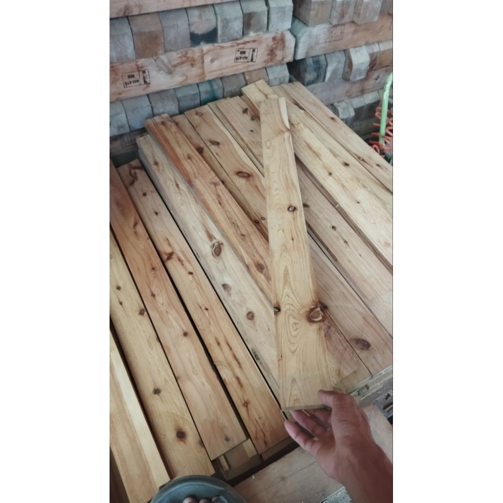 Jual Kayu papan cedar/aras fresh baru belah masih mentahan Uk ...