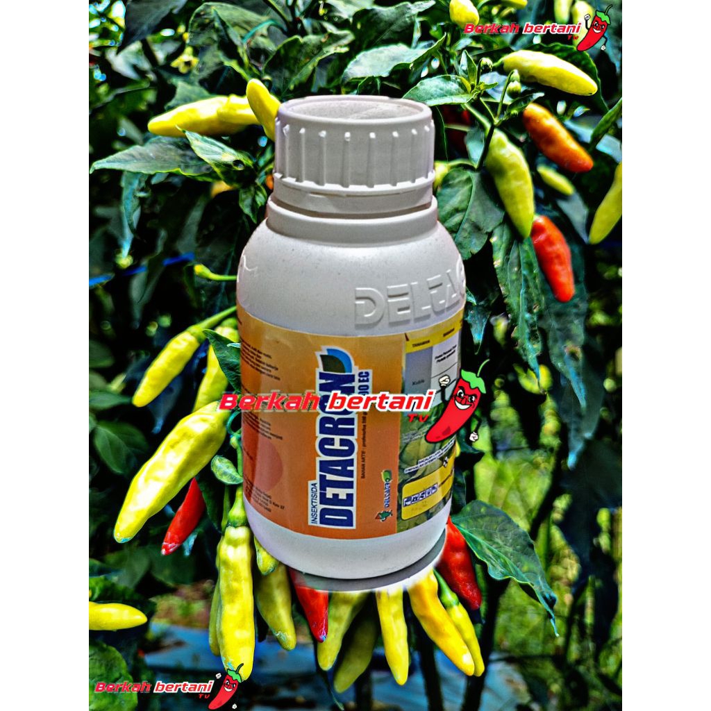 Jual INSEKTISIDA DETACRON 500EC 250ML | Shopee Indonesia