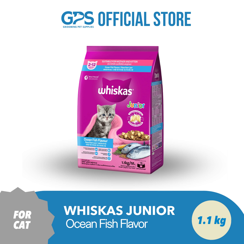 Jual WHISKAS DRY FOOD JUNIOR OCEAN FISH FLAVOR 1,1 KG / WHISKAS MAKANAN ...