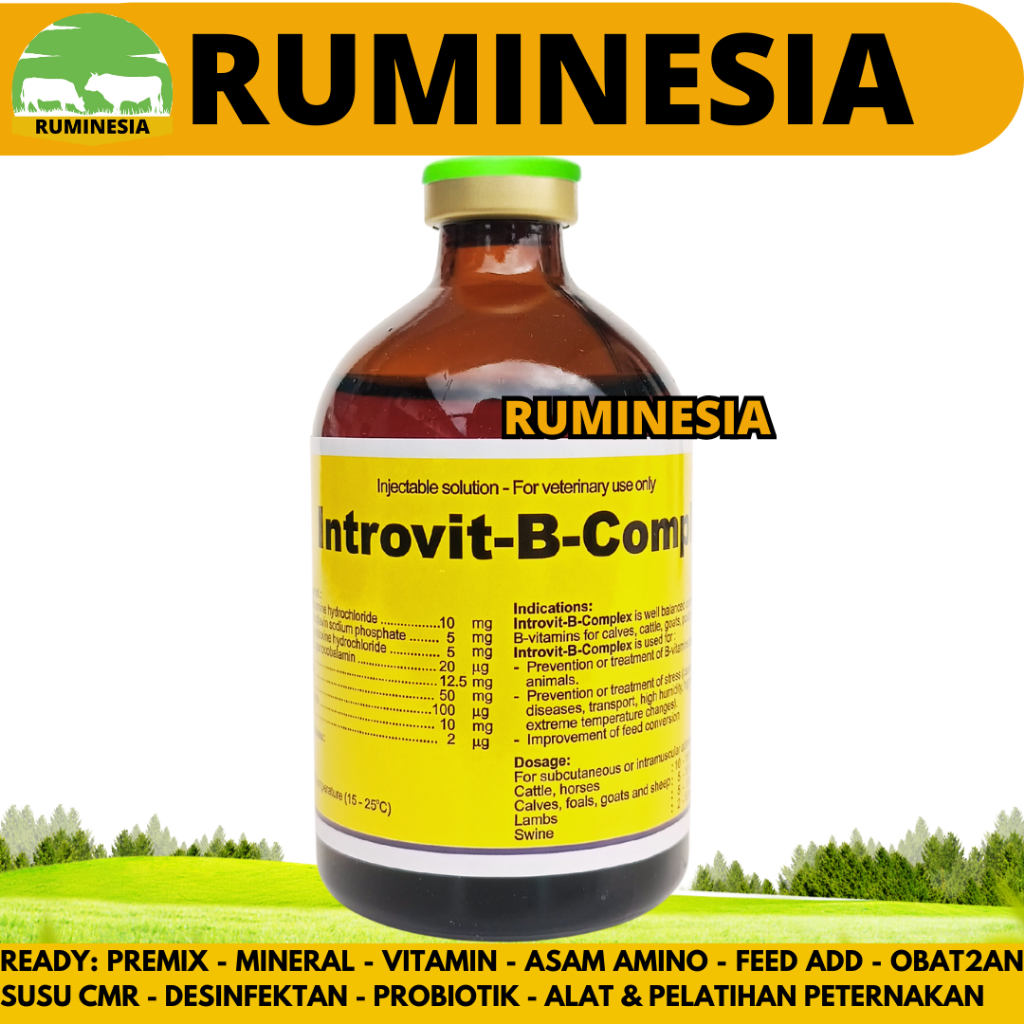 Jual INTROVIT B COMPLEX 100ML - Vitamin B Kompleks Hewan Ternak Sapi ...
