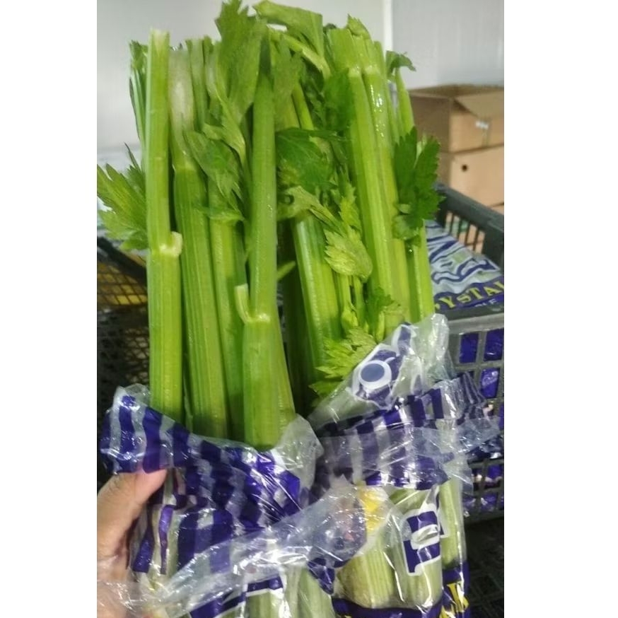 Jual seledri stik fresh 1 kg | Shopee Indonesia