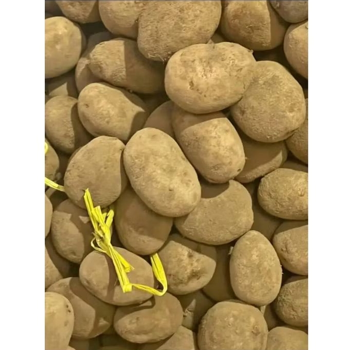 Jual Kentang Fresh Berat 1Kg, Produk Asli Petani Lokal KOTA BATU JATIM ...