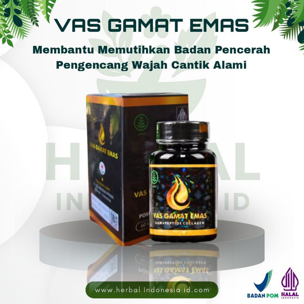 Jual VAS GAMAT EMAS COLLAGEN 100% Herbal Alami Membantu Memutihkan ...