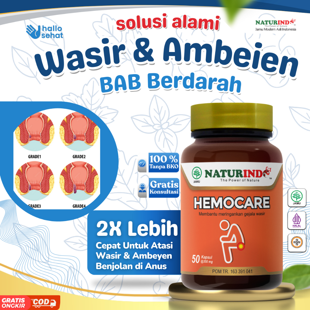 Jual Obat Ambeien Wasir Benjolan di Anus BAB Berdarah Ampuh Herbal ...