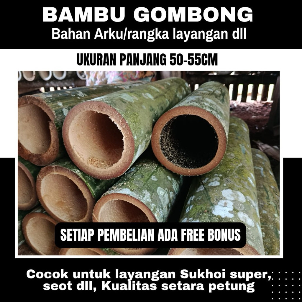 Jual BAMBU GOMBONG,BAMBU SURAT, KUALITAS SETARA BAMBU BITUNG/PETUNG ...