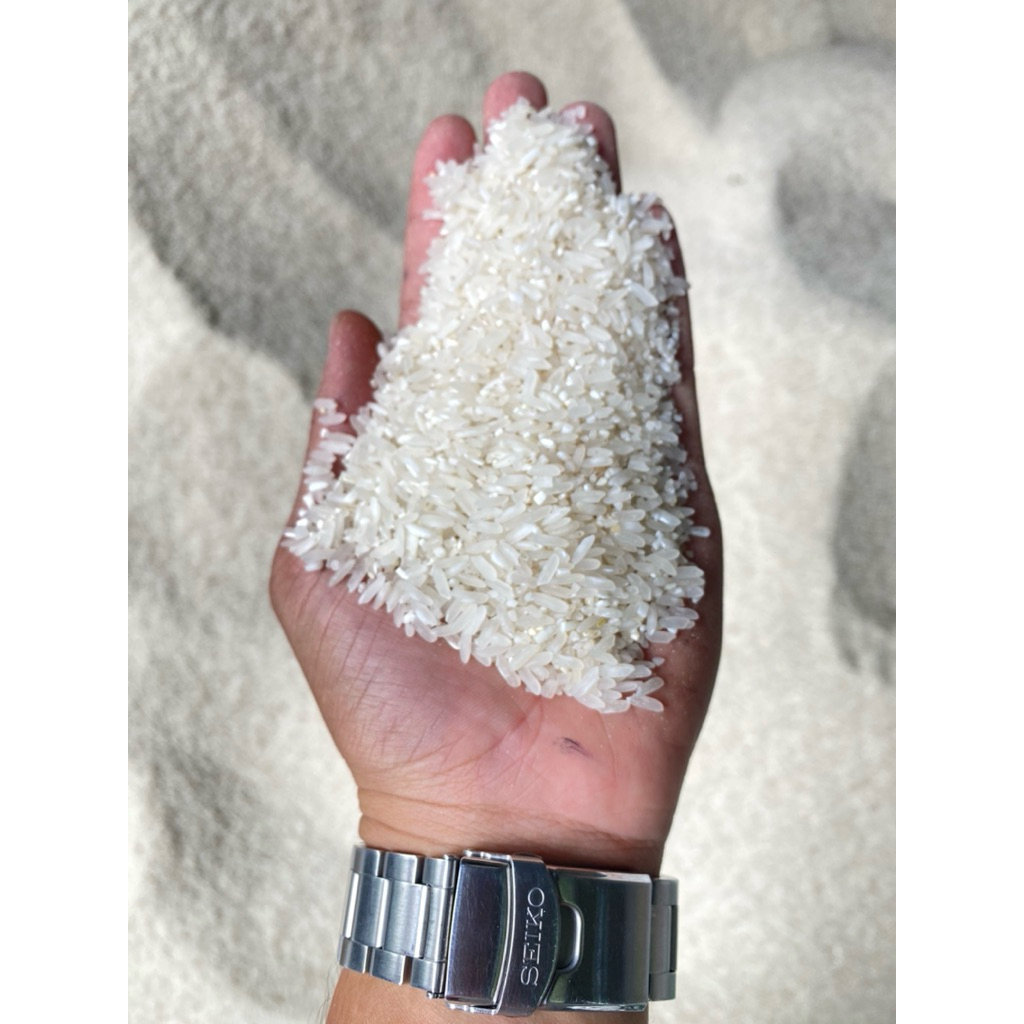 Jual Beras Satu Karung 50 Kg Harga Terlengkap & Harga Terbaru Juni 2026 ...