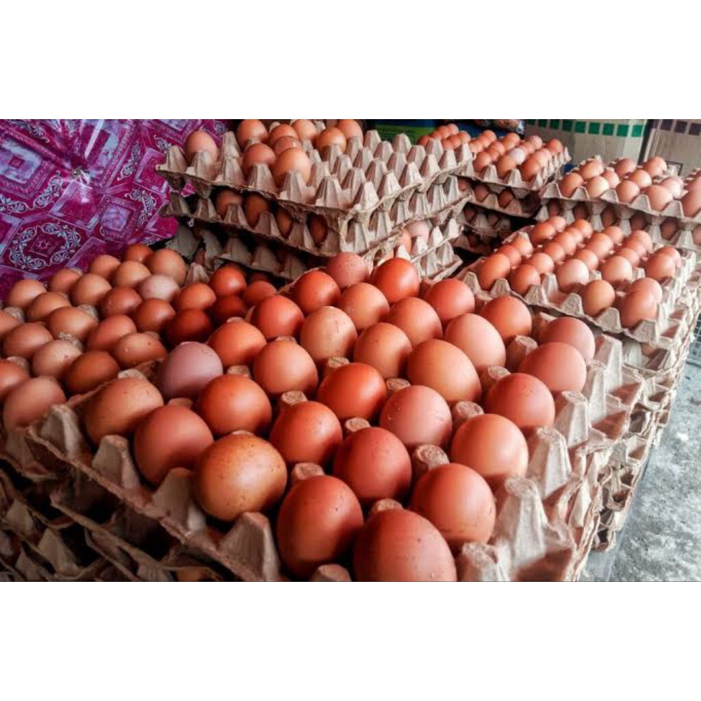 Jual Telur Ayam 1 Piring isi 30 butir | Shopee Indonesia