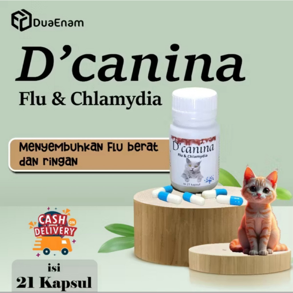 Jual D'CANINA FLU & CHLAMYDIA OBAT FLU KUCING DUAENAM 21 kapsul untuk ...