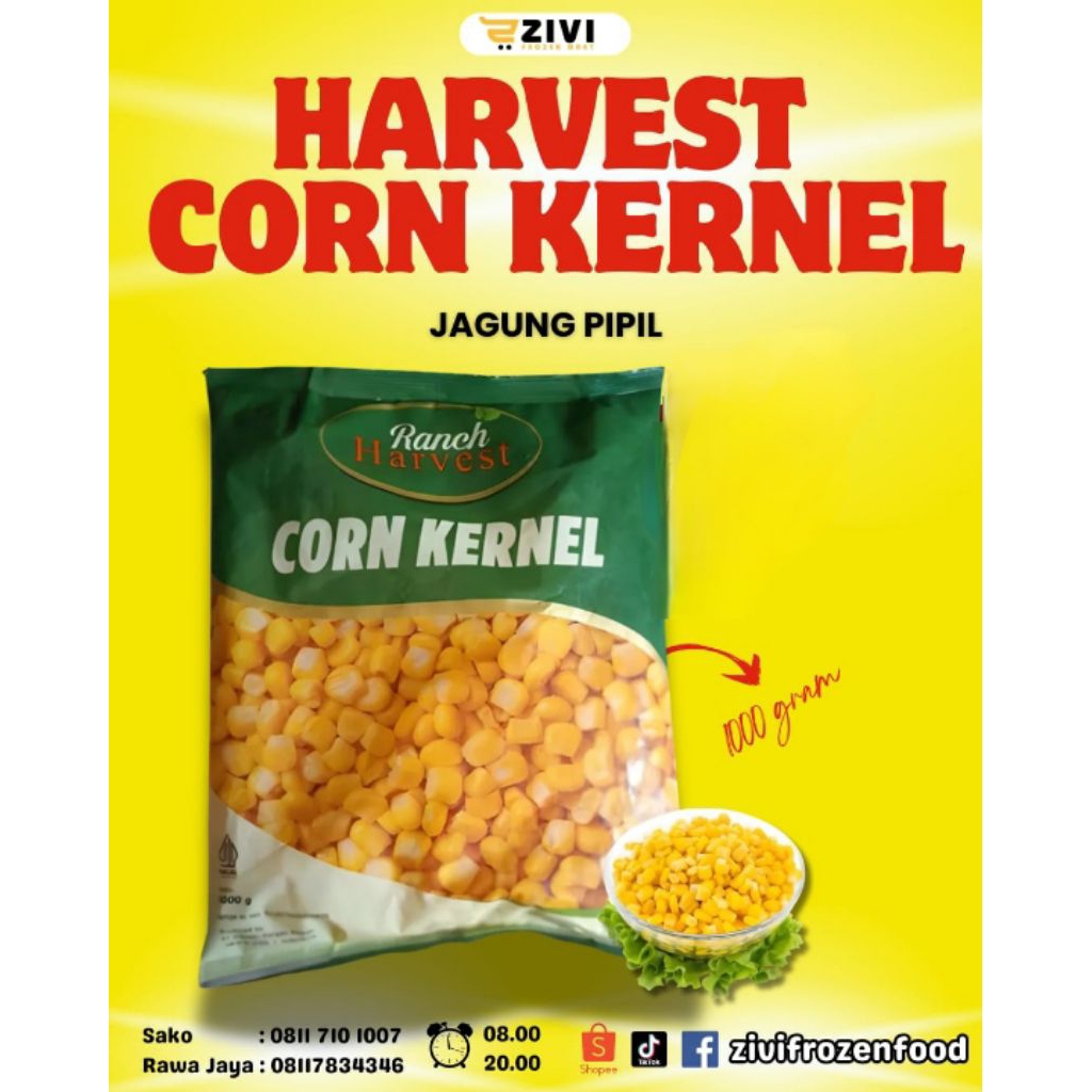 Jual Harvest jagung pipil / corn kernel / 1kg | Shopee Indonesia