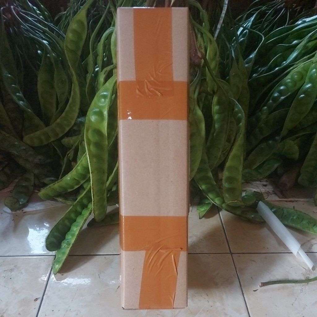 Jual kardus packing tambahan kokoh rapi & lebih aman | Shopee Indonesia