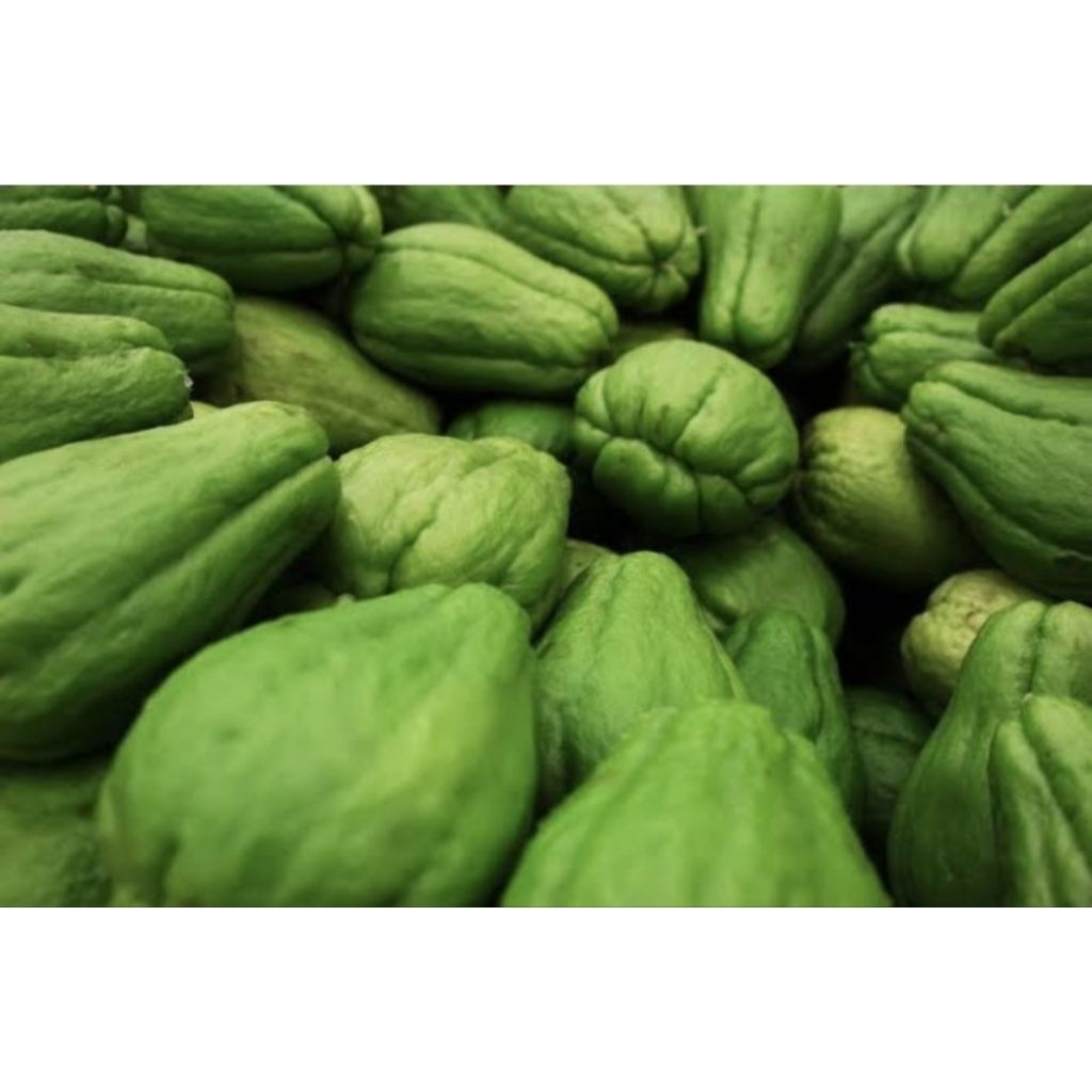 Jual labu siam super/jipang/waluh cina fresh dari kebun 1kg | Shopee ...