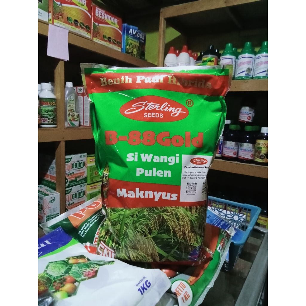 Jual Benih Padi Hibrida Sterling B 88 gold Kemasan 1 Kg | Shopee Indonesia
