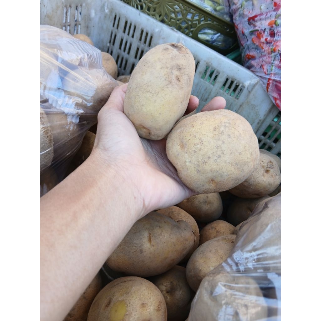 Jual kentang segar ukuran -1kg | Shopee Indonesia