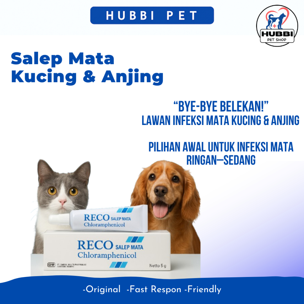Jual Salep Mata Kucing & Anjing Anti Bakteri | Obat Mata Kucing ...