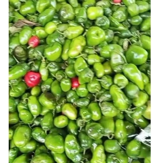 Jual Cabe Gendot Viral / cabe bendot (500gr) | Shopee Indonesia