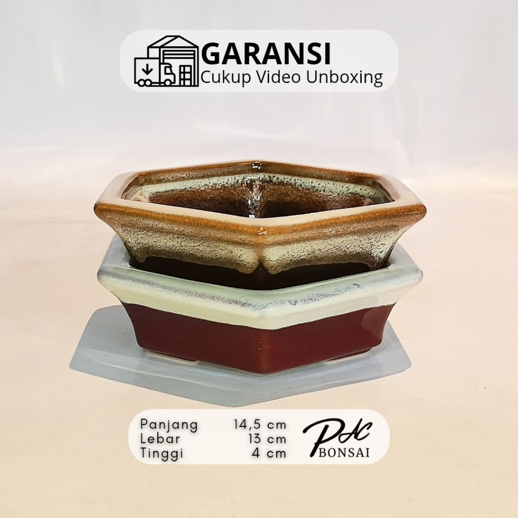 Jual PREMIUM PAC Bonsai | Kaktus | Sukulen | Sansivera | Aglonema | Pot ...