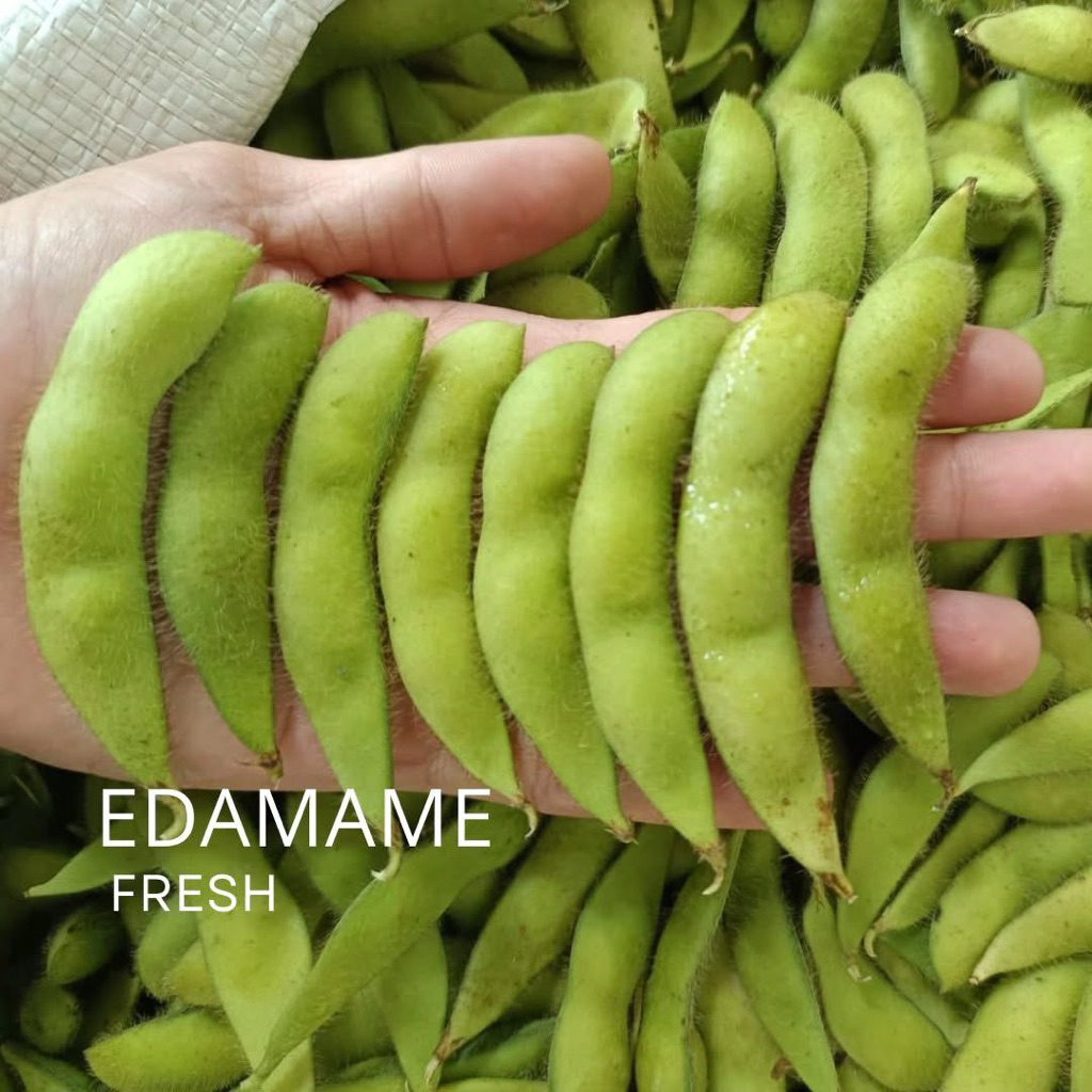 Jual Edamame FRESH 1kg | Shopee Indonesia